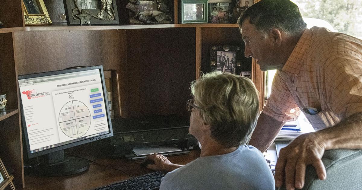 Calving Software: A Modern Consideration