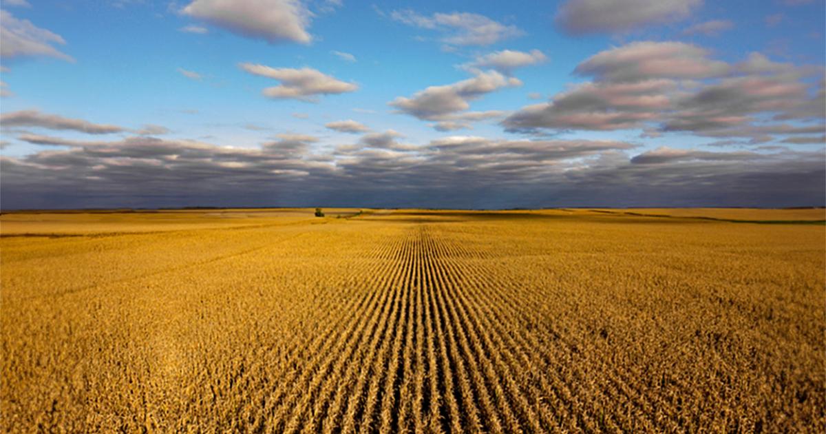 Large Farms Continue to Dominate South Dakota Crop Production