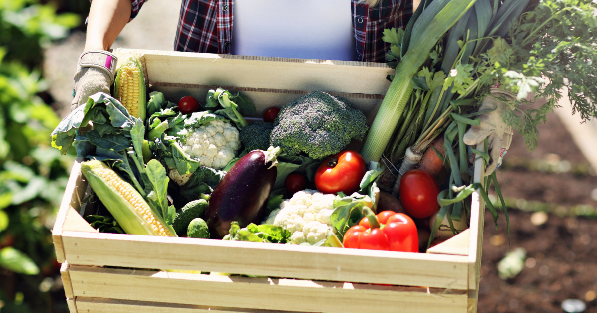 SDSU Extension launches produce prescription program Dakota Food Rx