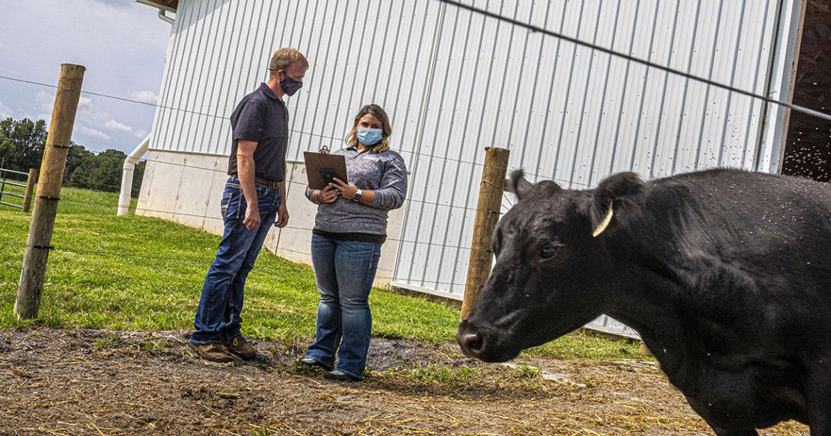 SDSU Extension hosting Beef Quality Assurance training in Wall