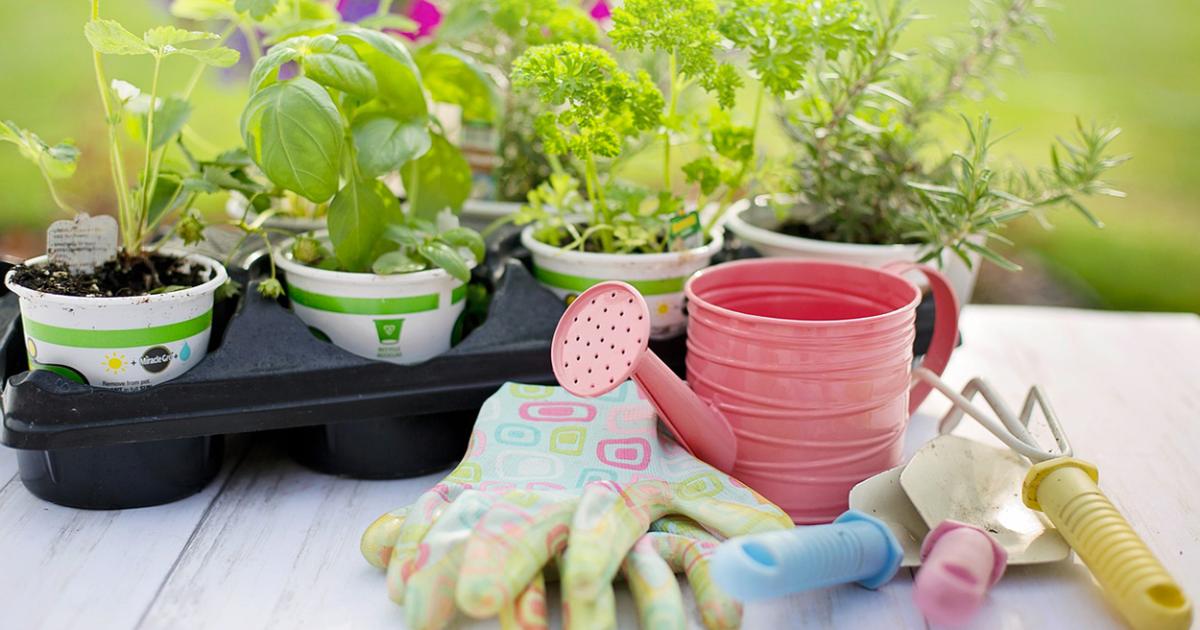 Ergonomic Tools in the Garden