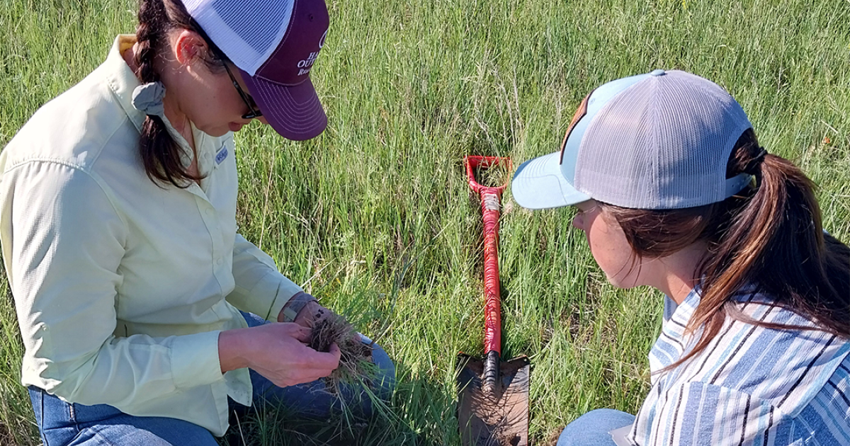 Save the date for SDSU Extension Women on the Range grazing workshop ...