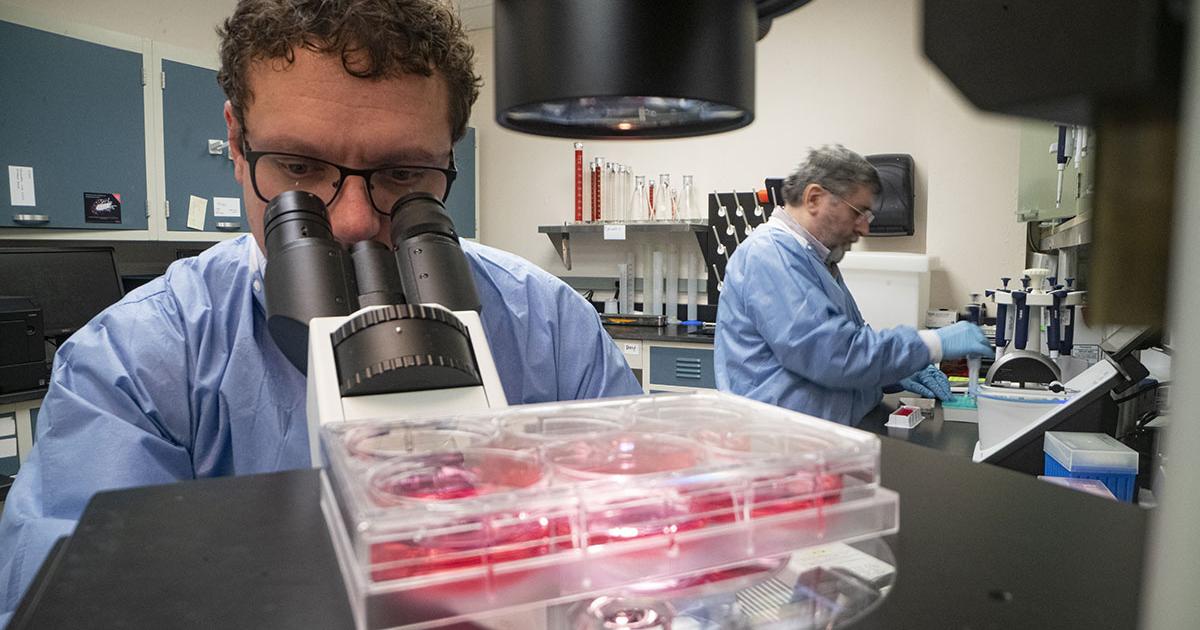 Swine Foreign Animal Disease Preparation: A reflection through the ...