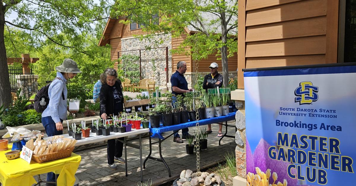 SDSU Extension, McCrory Gardens to host Garden Discovery Festival