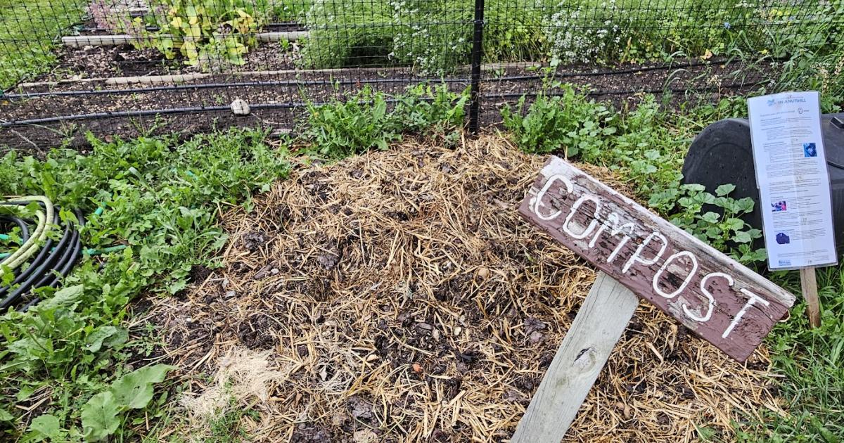 Composting Basics