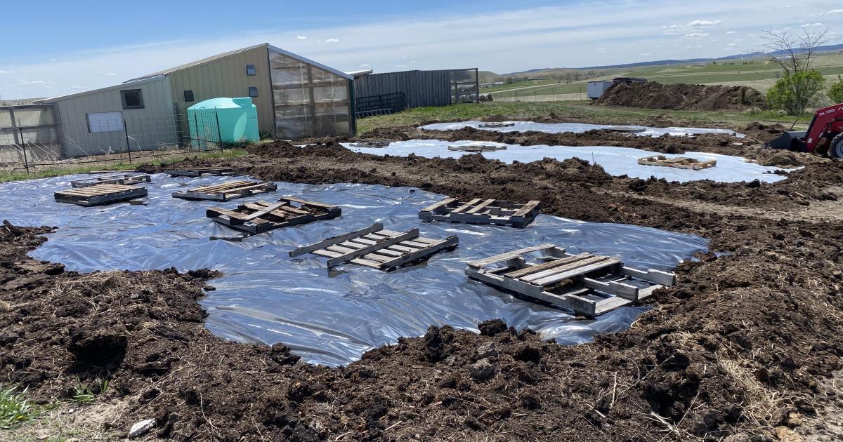 South Dakota Vegetable Grower Experiences with Soil Tarping and ...