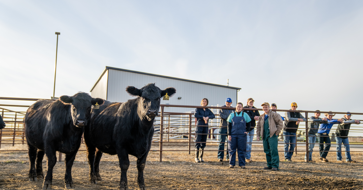 SDSU Extension to host Youth Beef Summit
