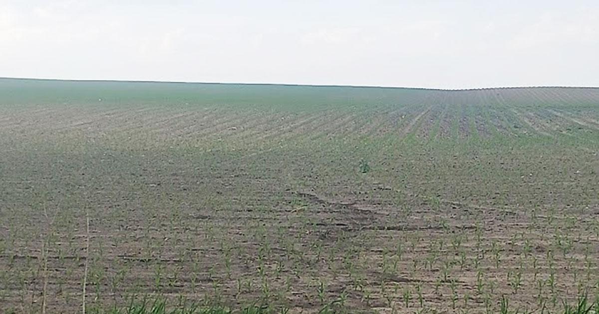 Soil Erosion Mitigation During Heavy Rainfall Events