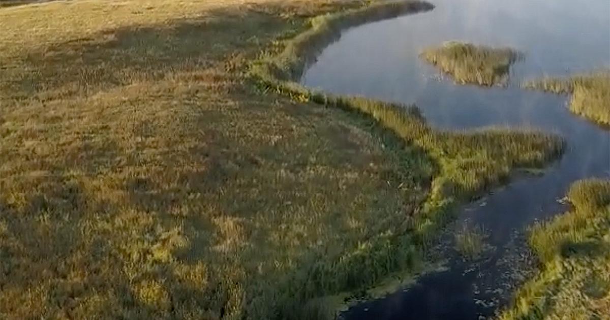 Prairie Pothole Wetlands: Small Basins, Big Impact