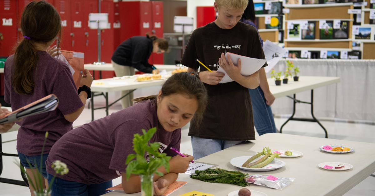 4-H Horticulture Skill-A-Thon