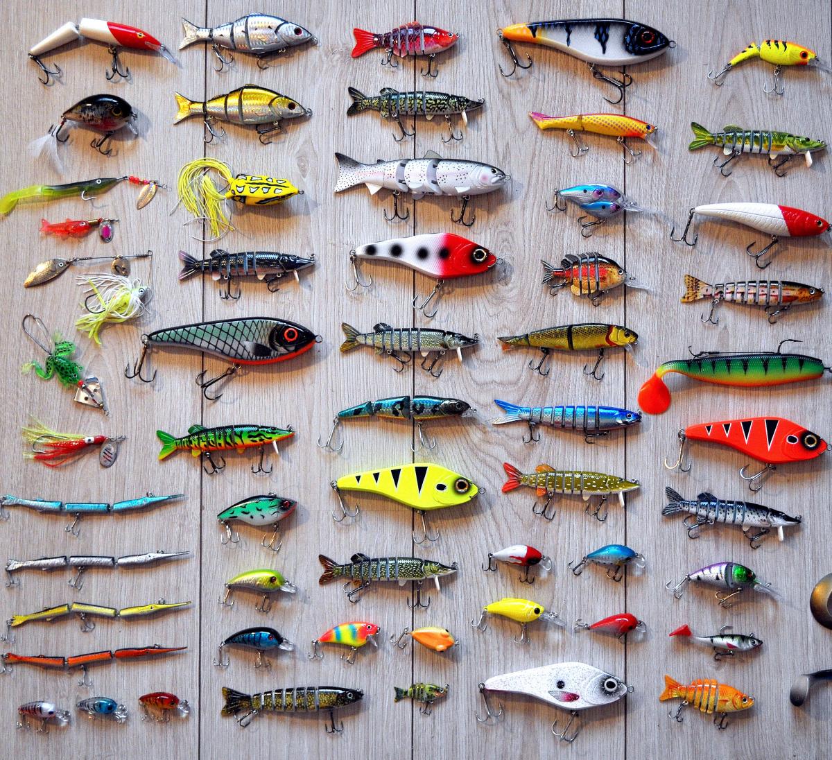 4-H Hobbies & Collections Project