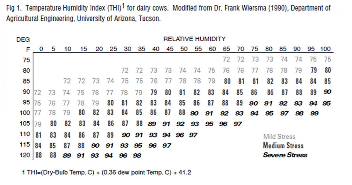 Dealing With Heat Stress in Dairy Cows