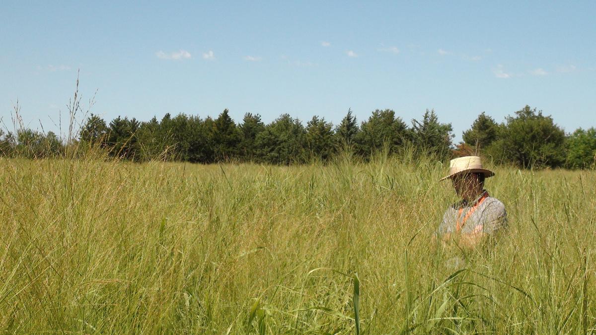 Farm Practices That Improve Soil Health: Planting Switchgrass on ...