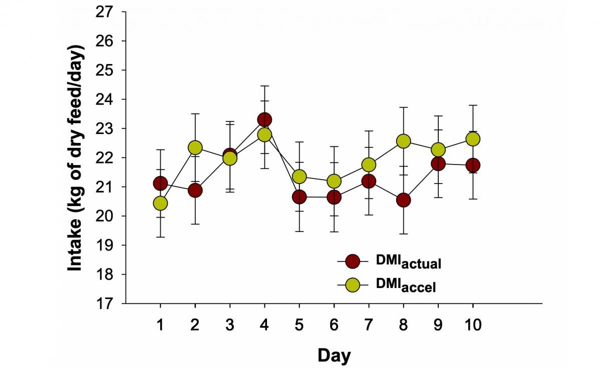 New Sensor Technology to Estimate Feed Intake in Lactating Dairy Cows