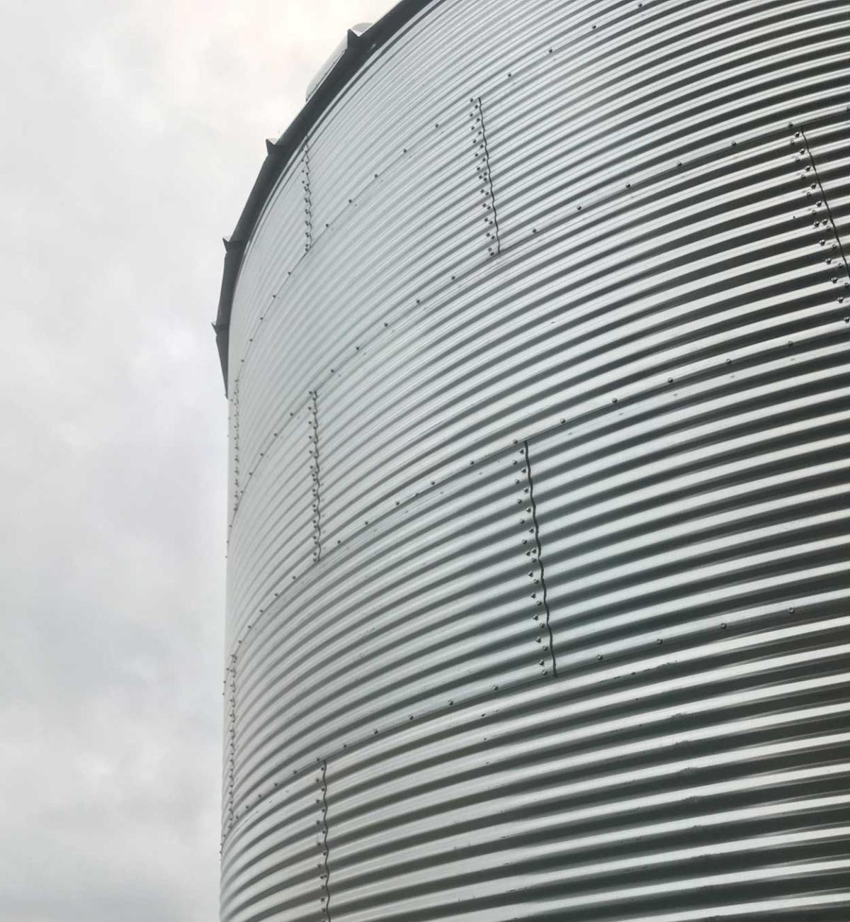Steps to Prevent Stored Grain Infestations