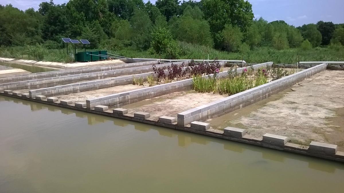 Streamlines Episode 12: Constructed Wetlands: Mitigation