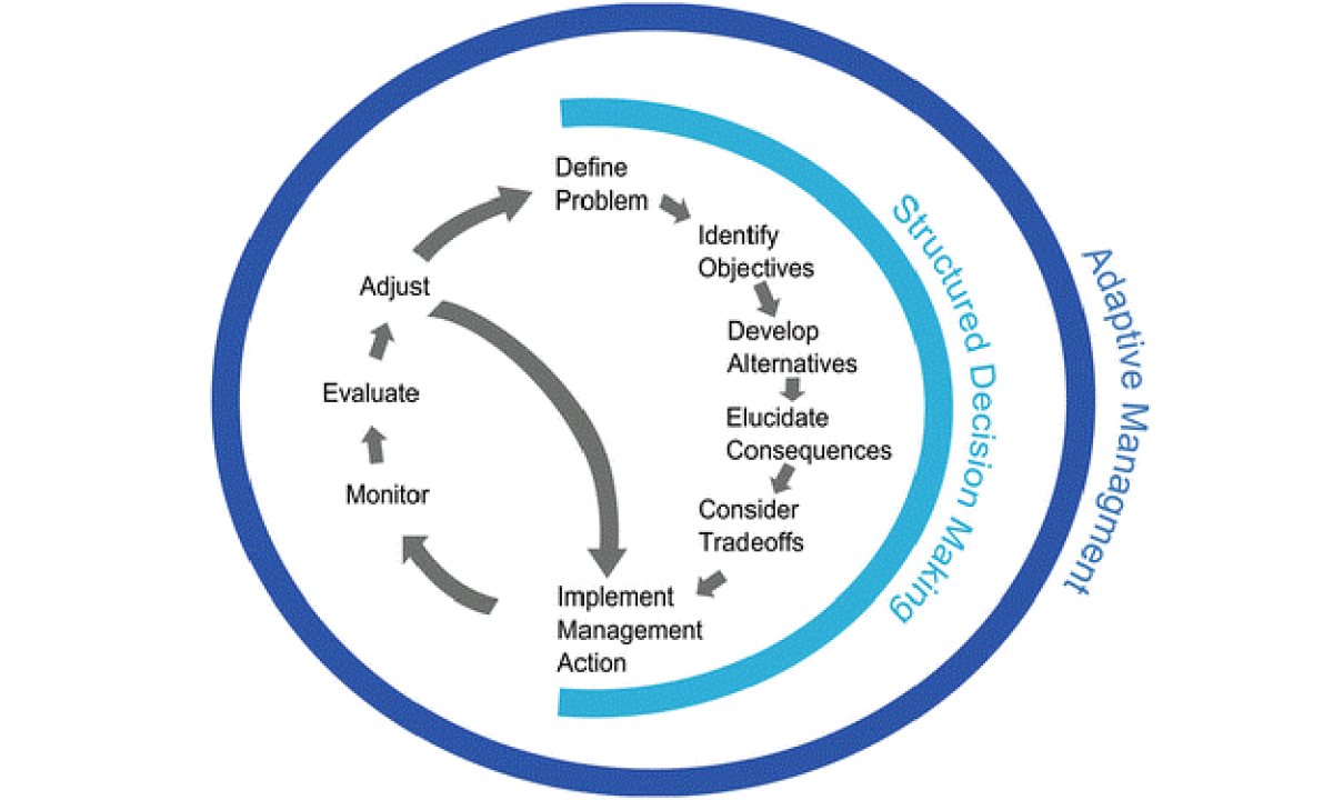 Five Range Management Principles: #1 Adaptive Management Five Range Management Principles: #1 Adaptive Management