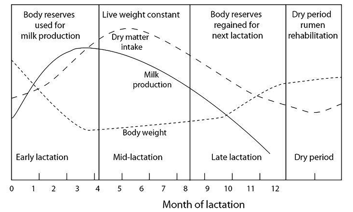 The Lasting Effects of Overgrazing on Rangeland Ecosystems