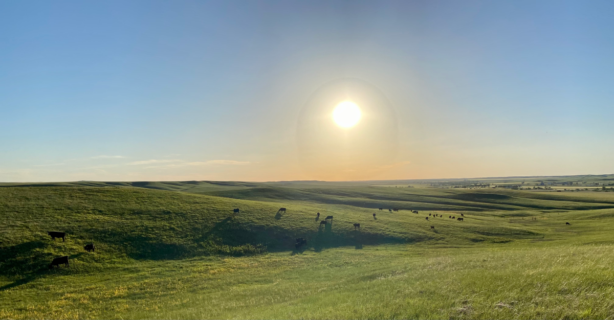 SDSU Extension | SDSU Extension