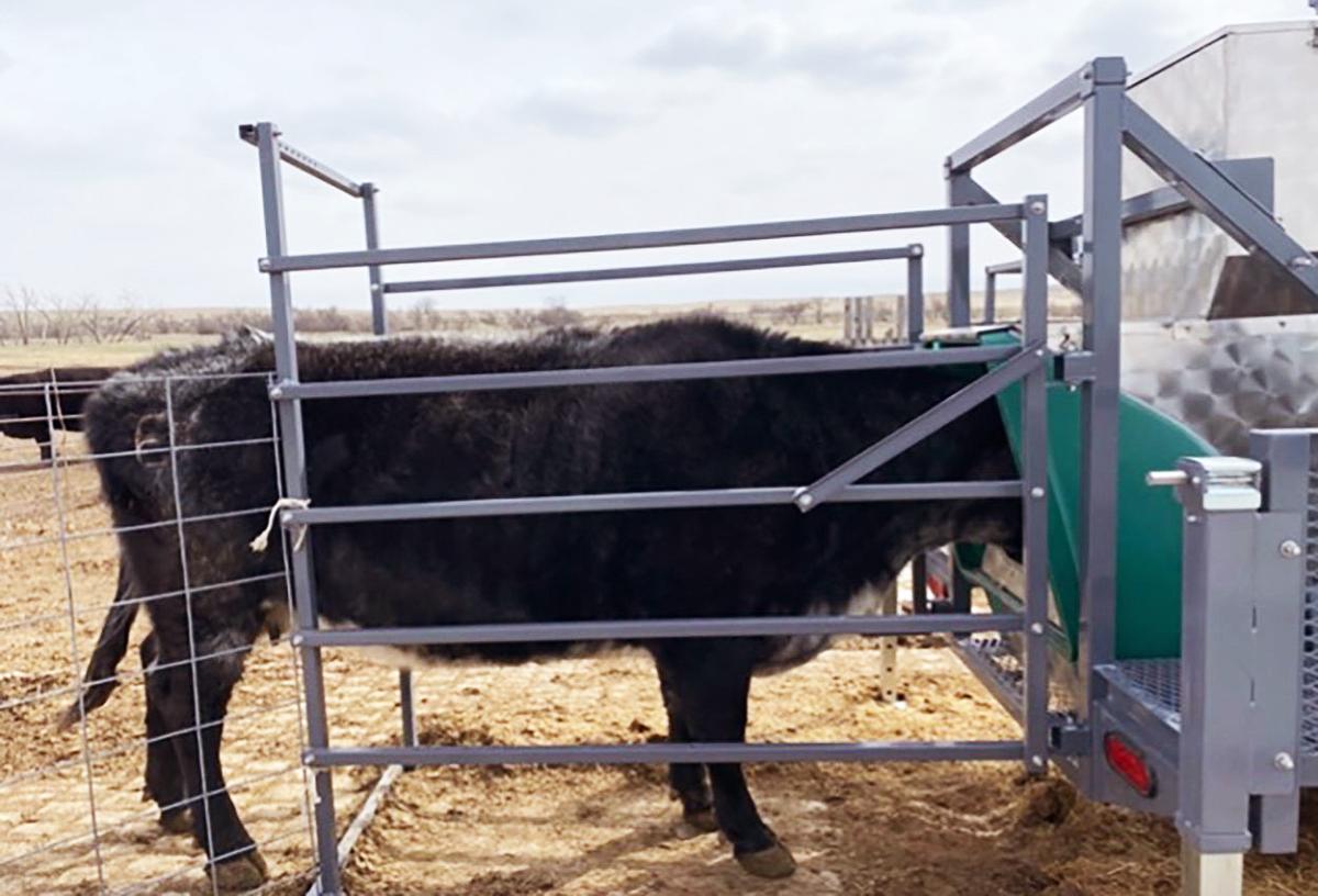 Range Roundup: Precision Technology to Measure Cattle Methane Emissions ...