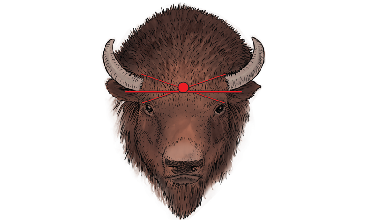 Are bison amenable or non-amenable? How does the definition of bison ...