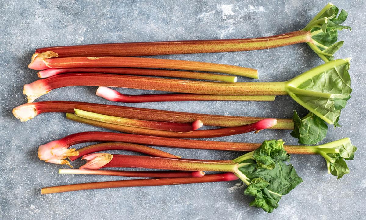 Rhubarb: Harvest and Storage