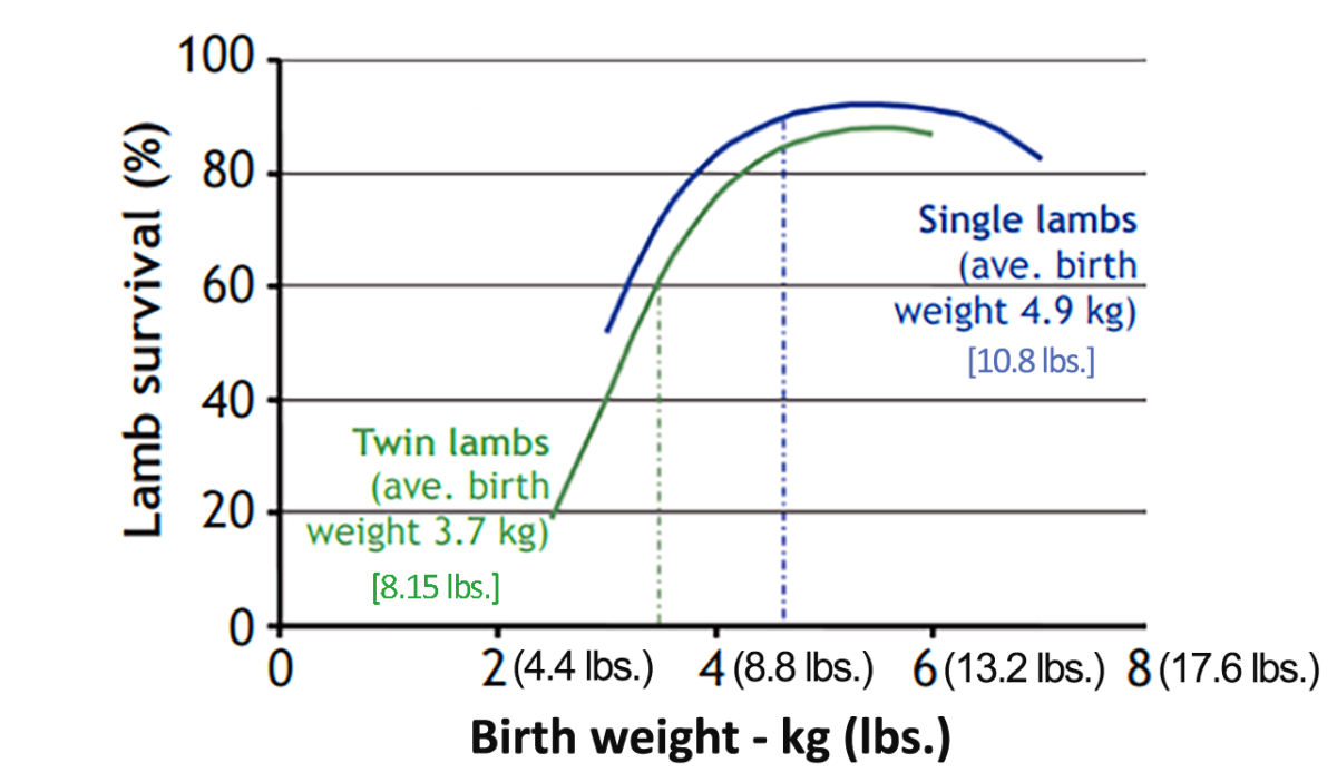 Lamb Birth Weights in Relation to Lamb Survivability