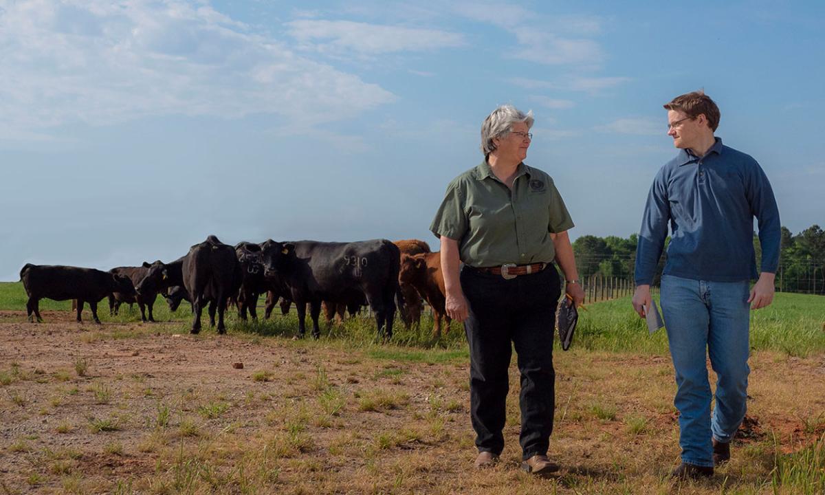 Economic Contribution of the South Dakota Beef Industry