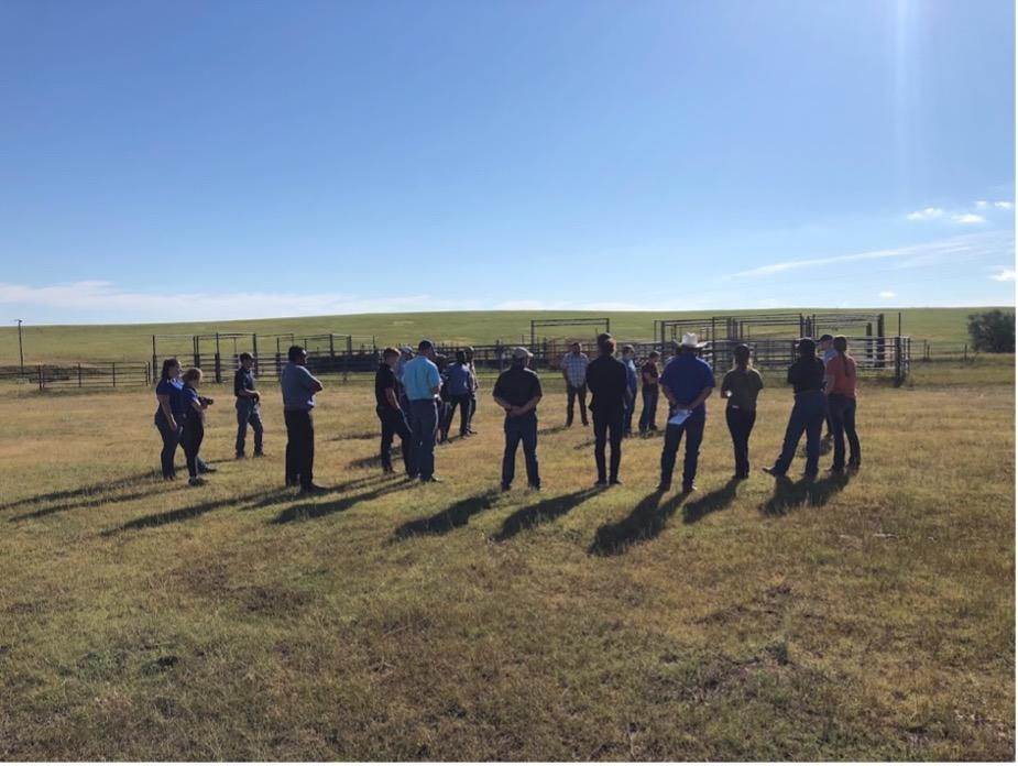 13 participate in first SDSU Extension Precision Livestock Field School