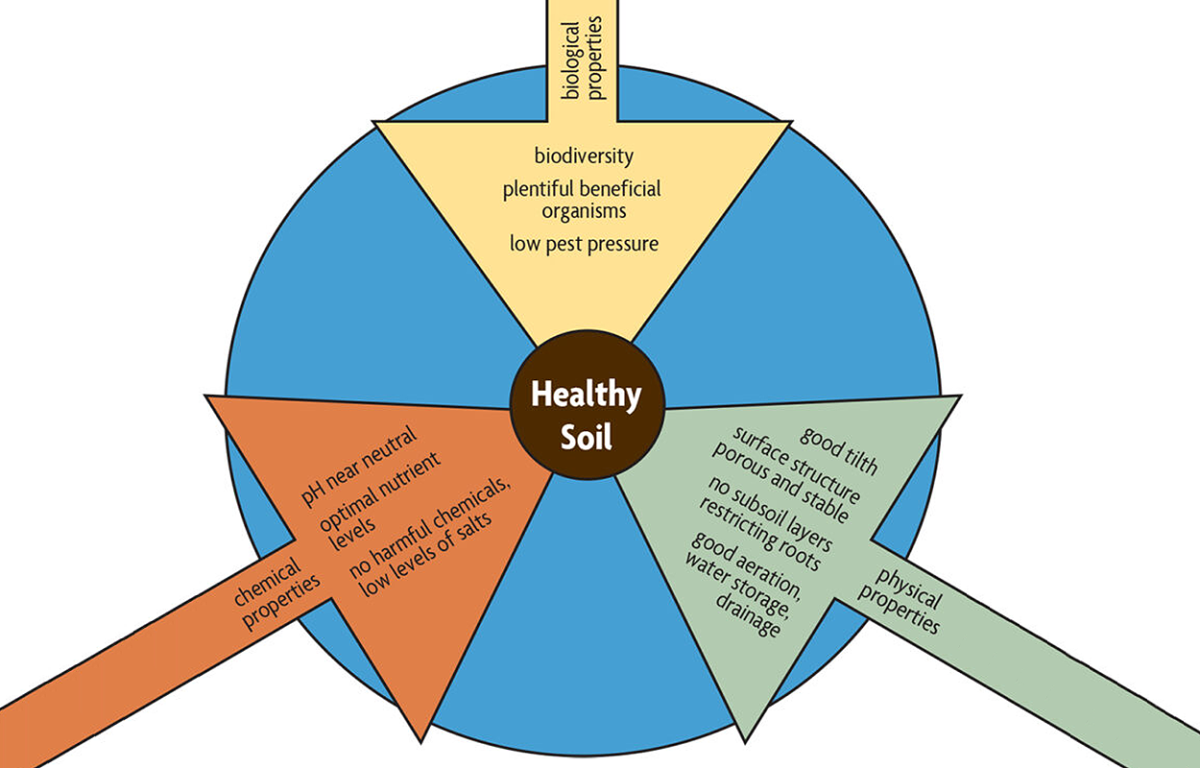 Soil Health and Why it Matters