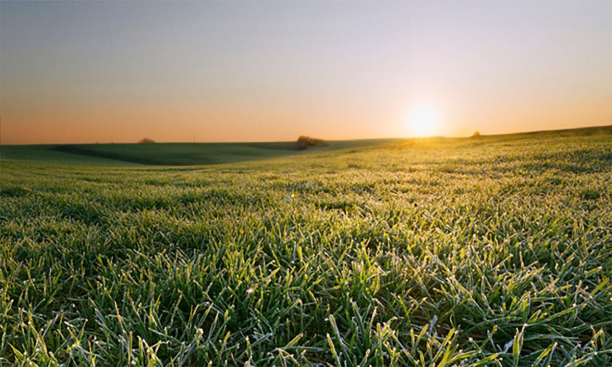 Last Spring Frost Dates
