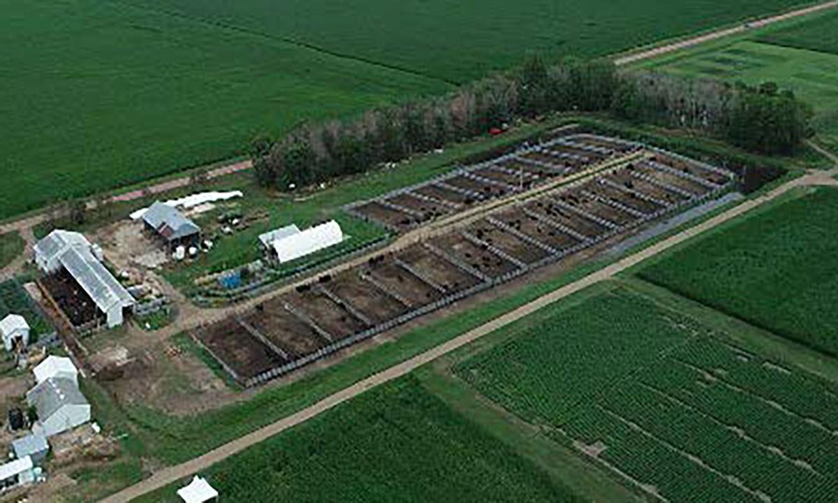 Case Study: Effect of Adding More Concrete to Open Pens
