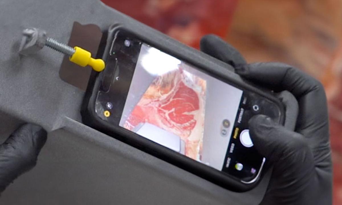 USDA Remote Grading Pilot Program: Increasing Marketing Options at ...