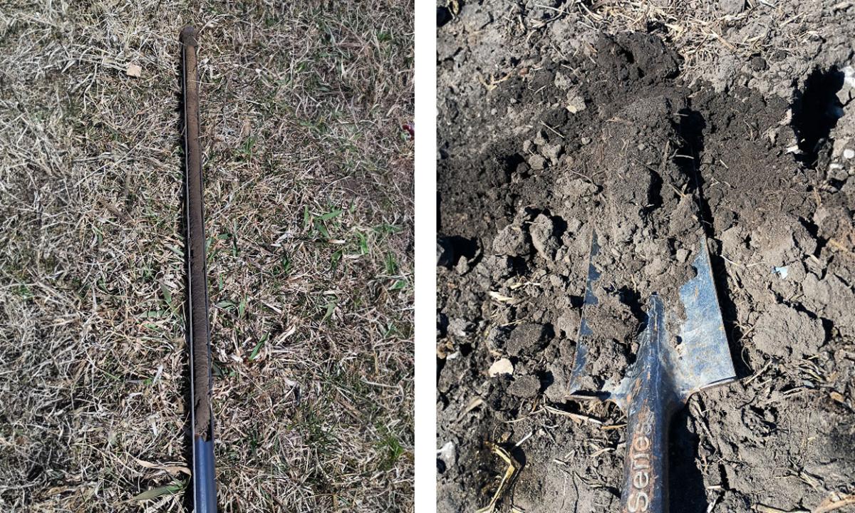 Interpreting Soil Tests for Gardening