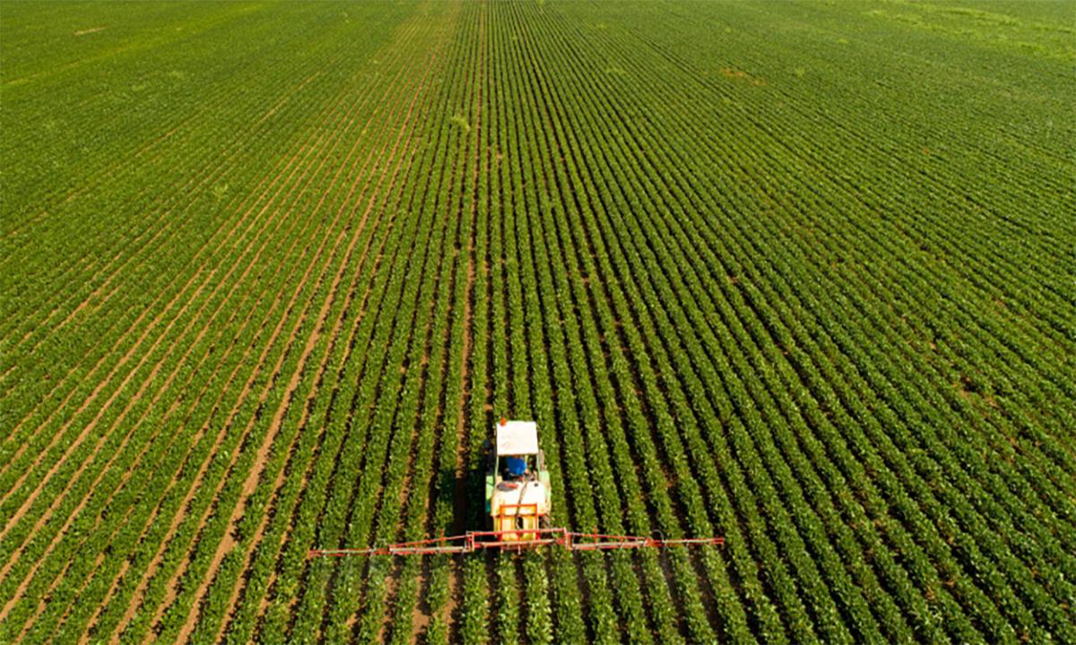 Inter-Seeding Cover Crops into Soybean