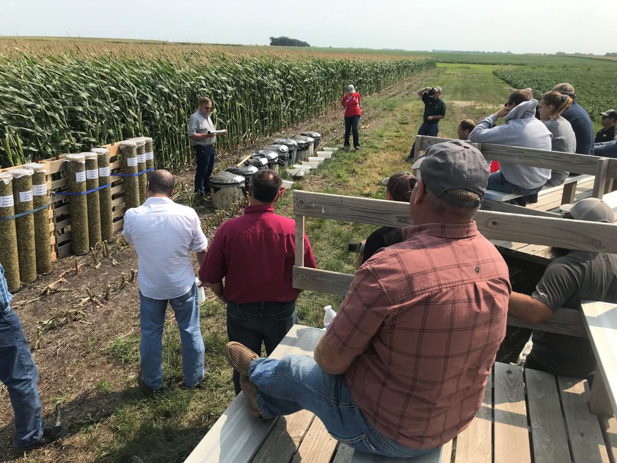 SDSU Extension co-hosting virtual Forage Field Day