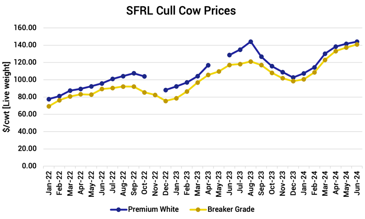 Getting the Most Out of Your Cull Cows