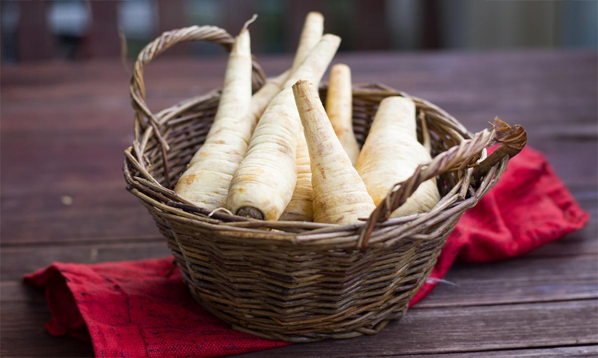 Parsnips: How to Grow It