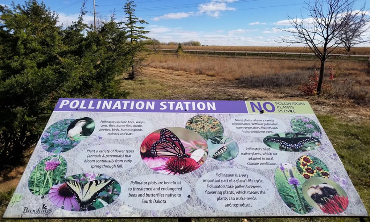 Funding Opportunities for Small-Scale Pollinator Habitats: A Guide for ...