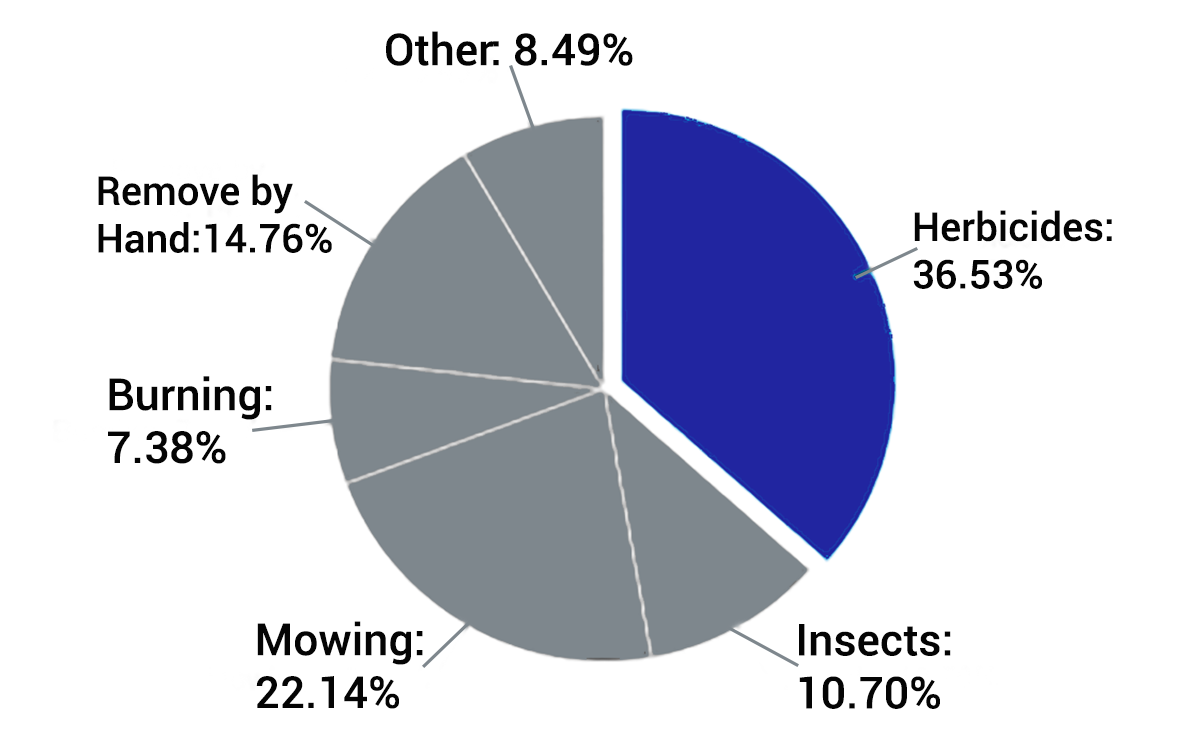 Now is the Time to Plan for Noxious Weed Control in 2025