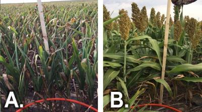 Avoiding Field Fires During Fall Harvest