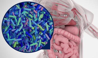 The Human Gut Microbiome