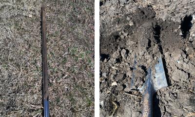 Interpreting Soil Tests for Gardening