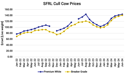 Getting the Most Out of Your Cull Cows