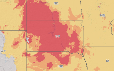 Fusarium Head Blight Update: May 29, 2025