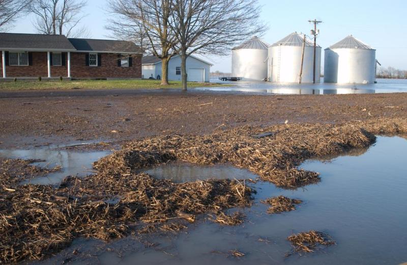 Checking and Treating Domestic Water Supplies After a Flood