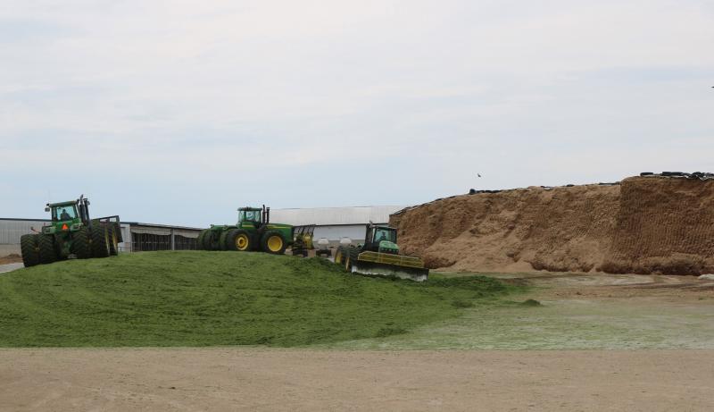 Harvesting Silage on a Wet Year: Moisture is Critical