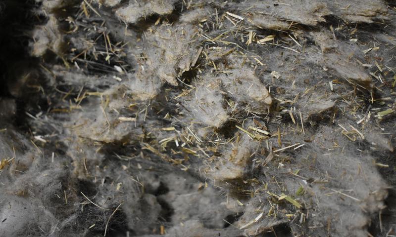 Considerations for Increasing Wool Value