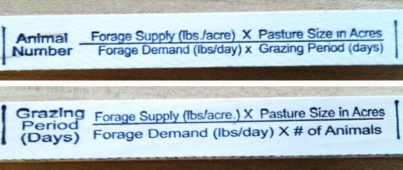 Using the ‘Grazing Stick’ To Assess Pasture Forage