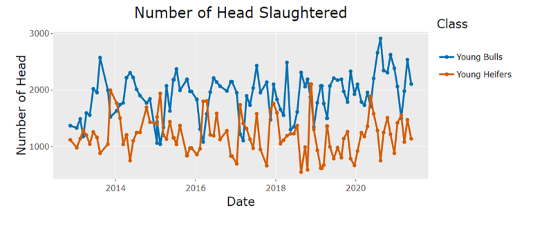 Bison Economics Tool